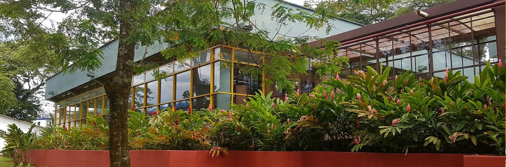 Centro UNILLANOS - Universidad de los Llanos en Villavicencio ...